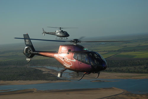 vhj-safari-pics-055 - ABC Heli - Gold Coast Helicopter Services